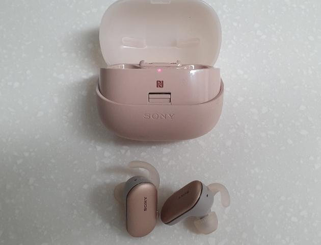 (사용기)벚꽃을 닮은 소니 무선 이어폰 WF-SP900